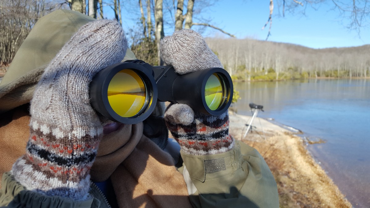 Holston Rivers Chapter: Virginia Master Naturalists | A home for SWVA's ...